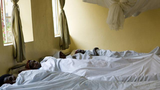 G8 Adopts Declaration On Preventing Sexual Violence In Conflict Una Uk